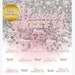 Pink Step and Repeat Backdrop, Pink and Silver Step and Repeat, Sweet ...