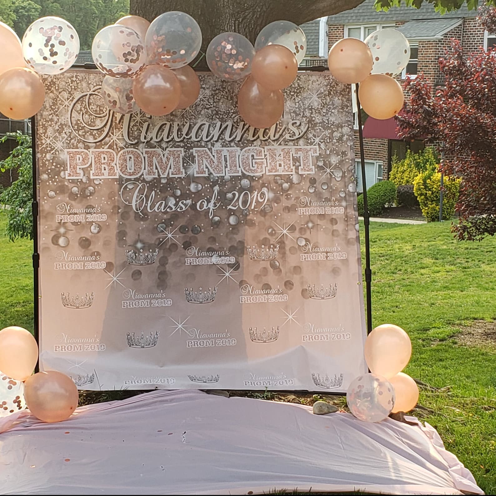 Prom Backdrop Prom Send Off Backdrop Champagne Party Etsy