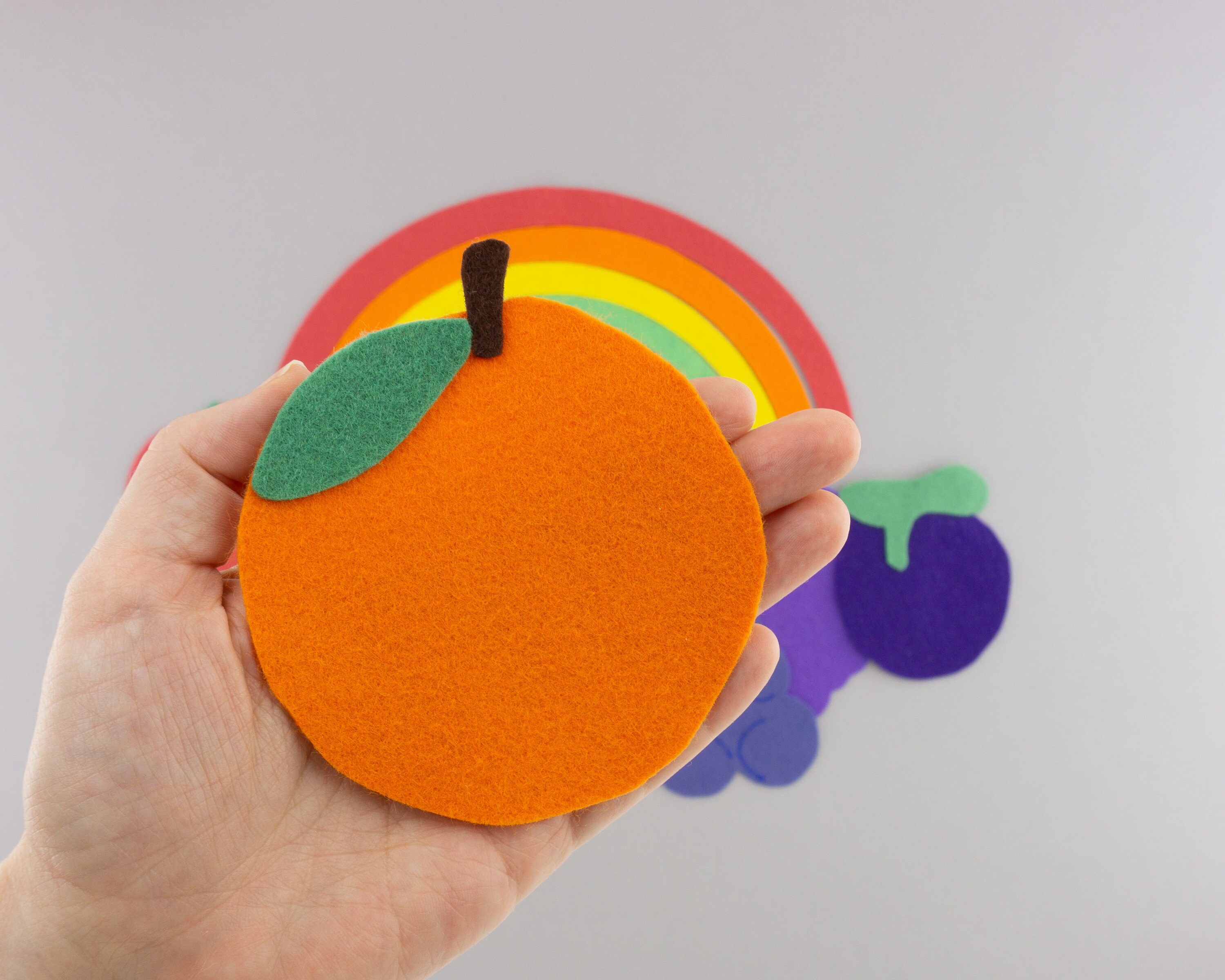 Fruit & Rainbow Stew Flannel Board Circle Time Song Fruit - Etsy