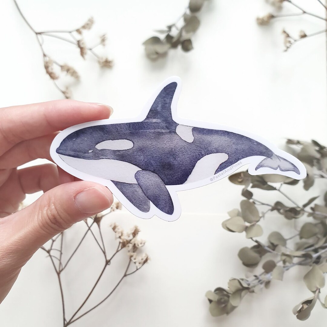 Orca Sticker, Killer Whale Sticker, Ocean Sticker, Vinyl Stickers, Gift ...
