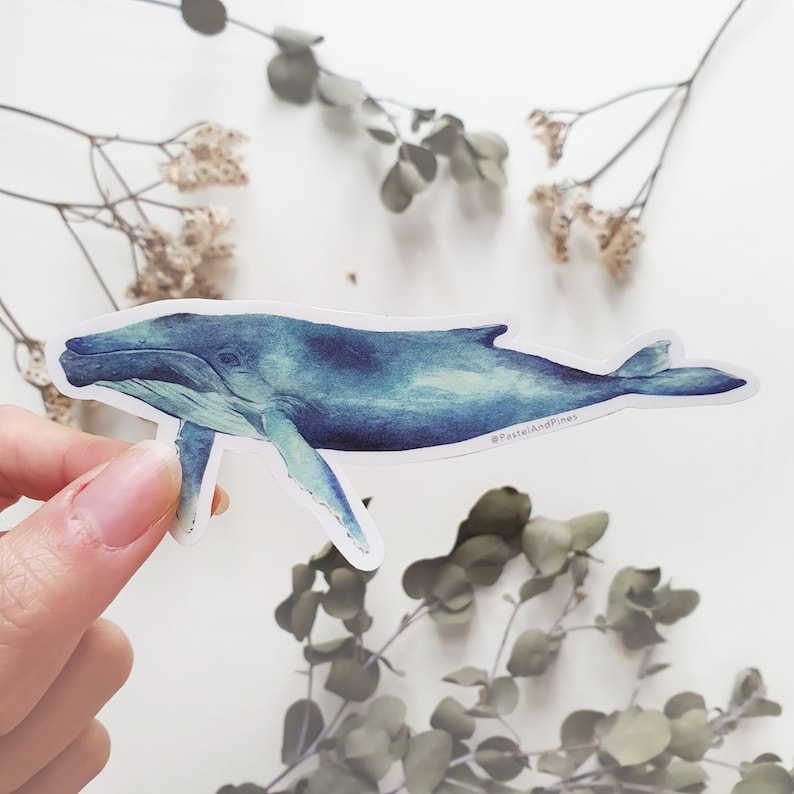 Humpback Whale Sticker, Stickers, Ocean Stickers, Vinyl Stickers, Gift ...