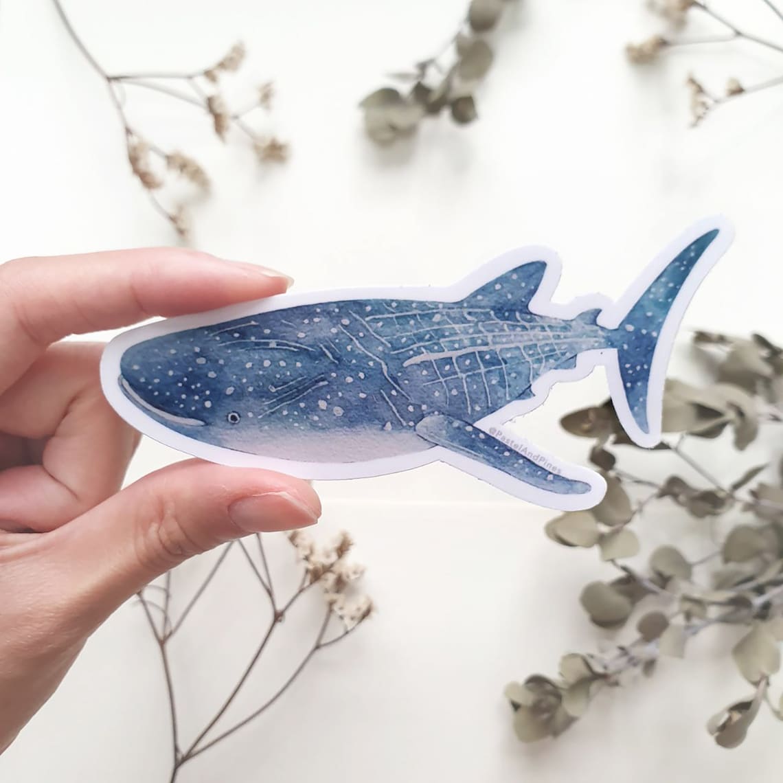 Whale Shark Sticker Whale Sticker Ocean Sticker Vinyl - Etsy
