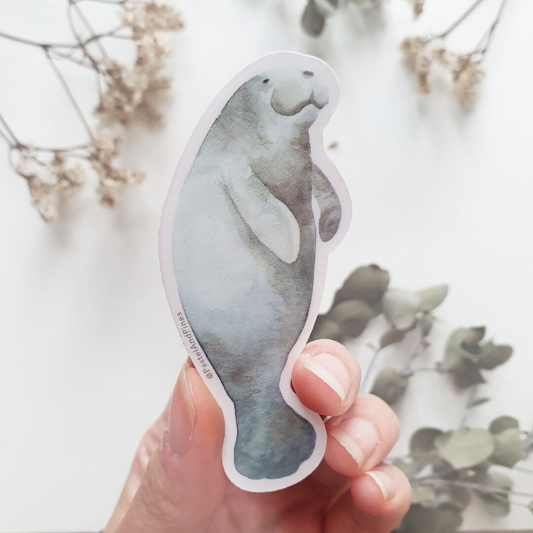Manatee Sticker, Dugong Stickers, Ocean Stickers, Vinyl Stickers, Gift ...