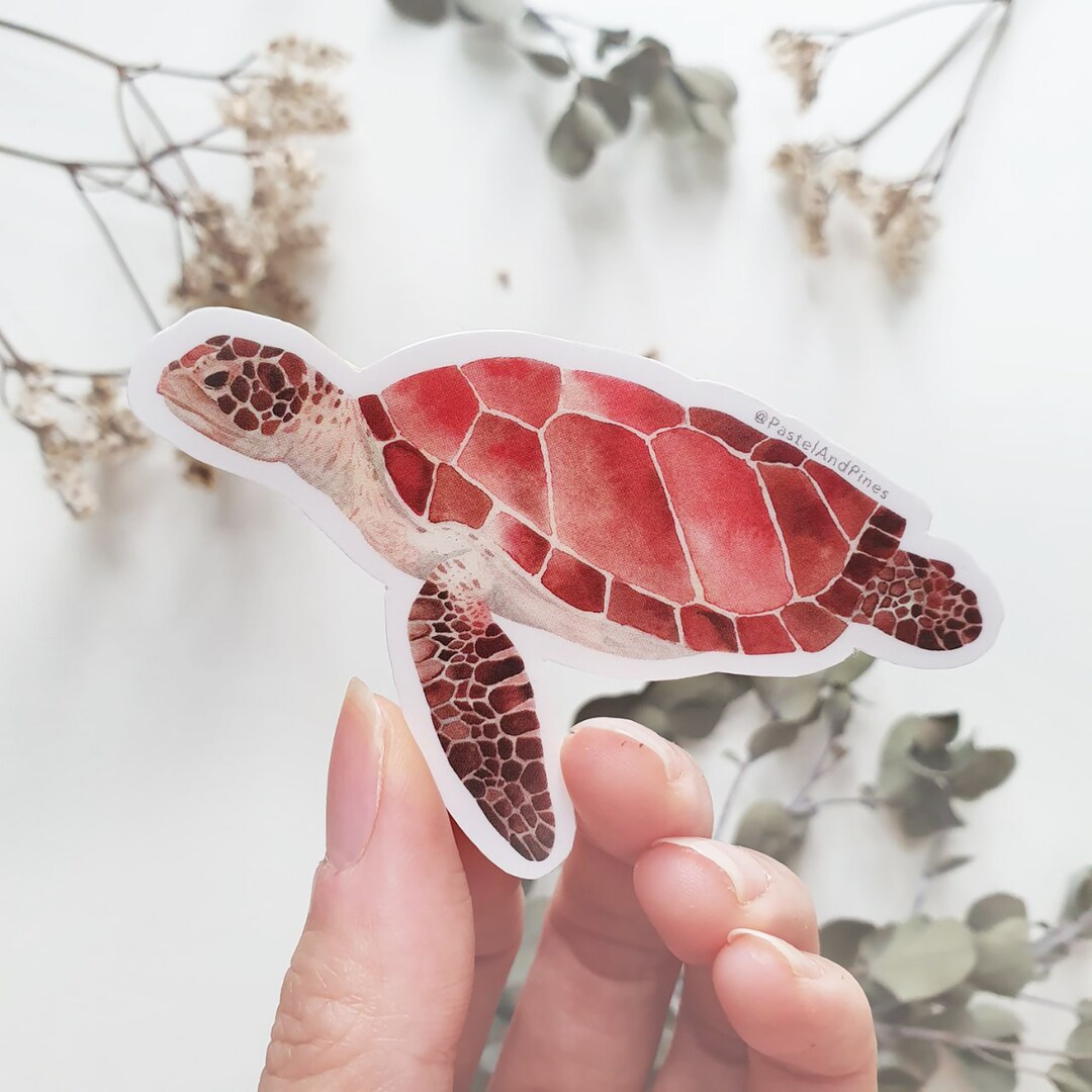 Green Turtle Sticker, Stickers, Ocean Stickers, Vinyl Stickers, Gift ...