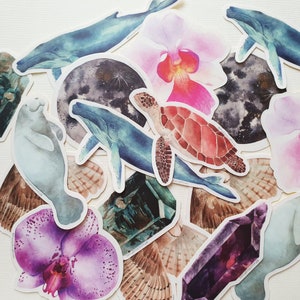 Green Turtle Sticker, Stickers, Ocean Stickers, Vinyl Stickers, Gift ...