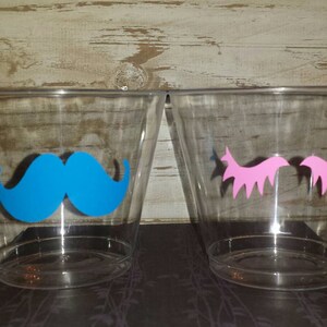 Lash or Stash 9 Oz Cups, Party Favor Cup, Gender Reveal Cup, Boy or ...