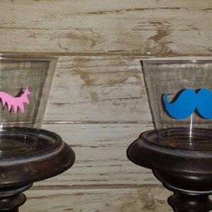 Lash or Stash 9 Oz Cups, Party Favor Cup, Gender Reveal Cup, Boy or ...
