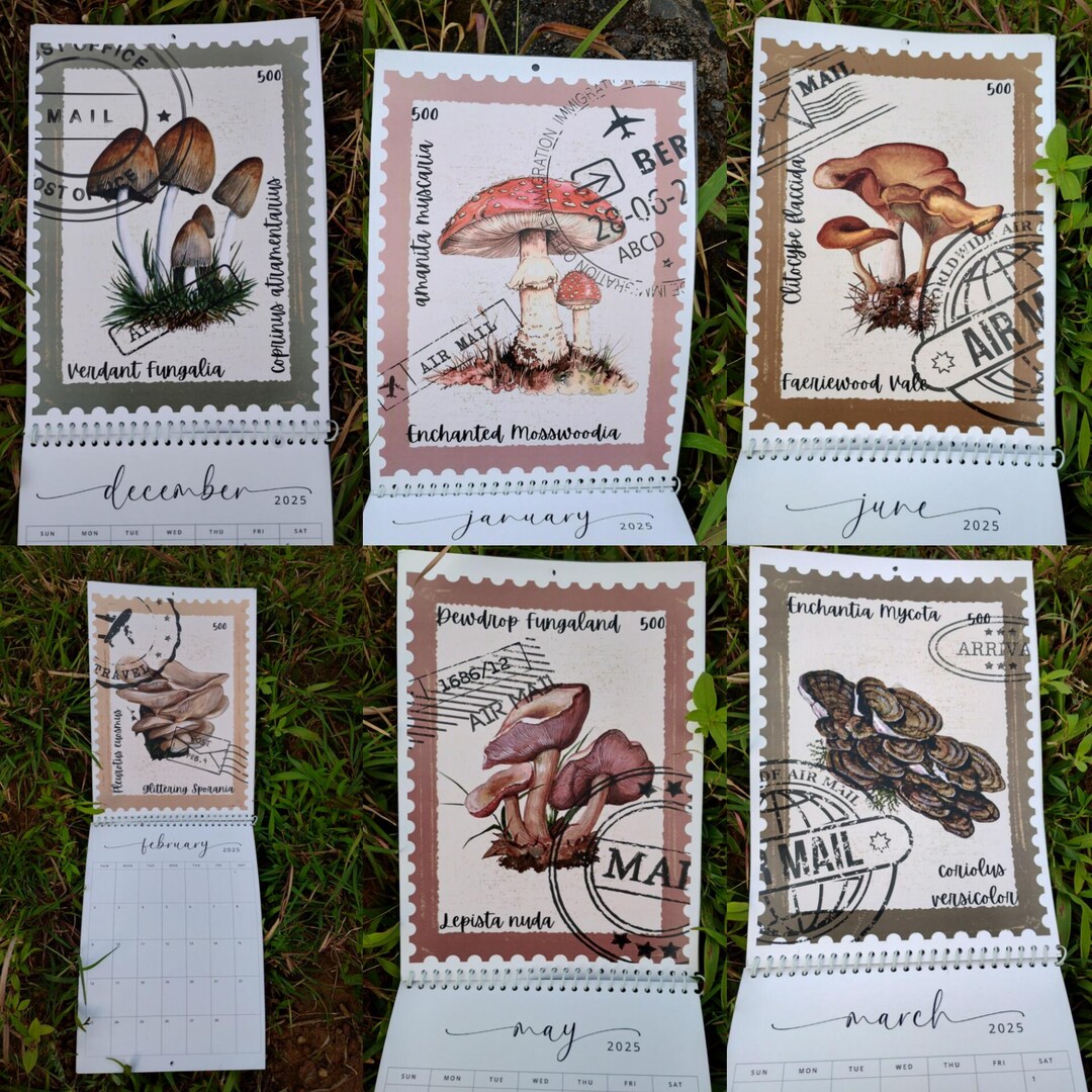 Mushroom Wall Calendar 2024, Cottagecore- Fairy- Witch-dark Academia ...