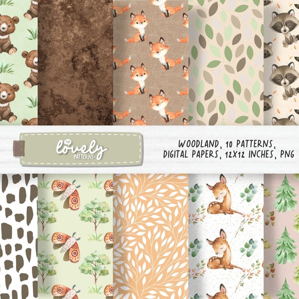 Forest Theme Nursery - Etsy