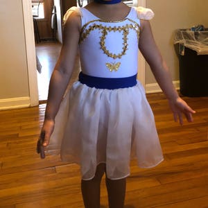 Leap Felicie Costume Ballet Dance Leotard and Skirt for Toddlers, Girls ...