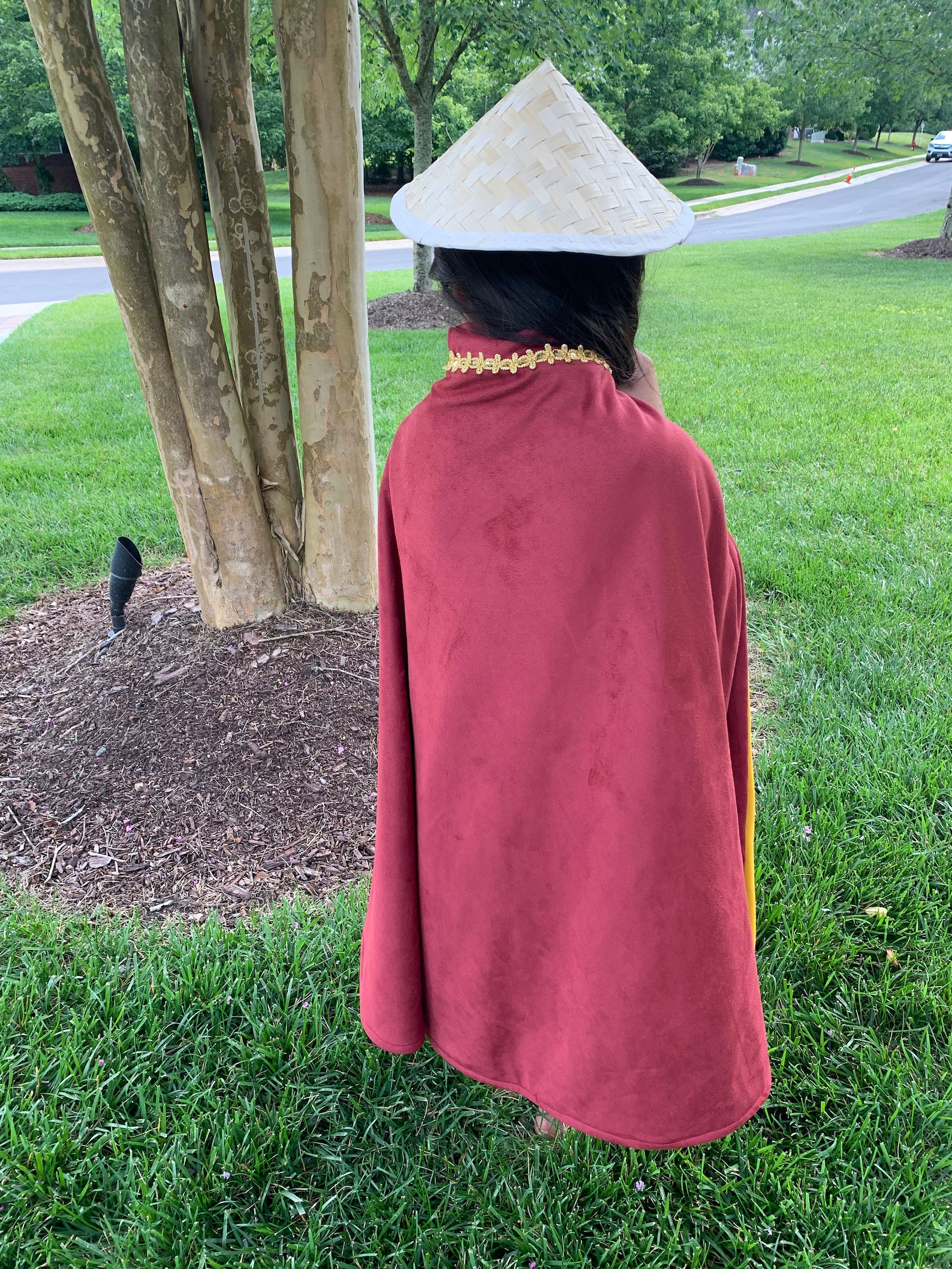 Raya and the Last Dragon Halloween Costume Cape Hat Shirt | Etsy