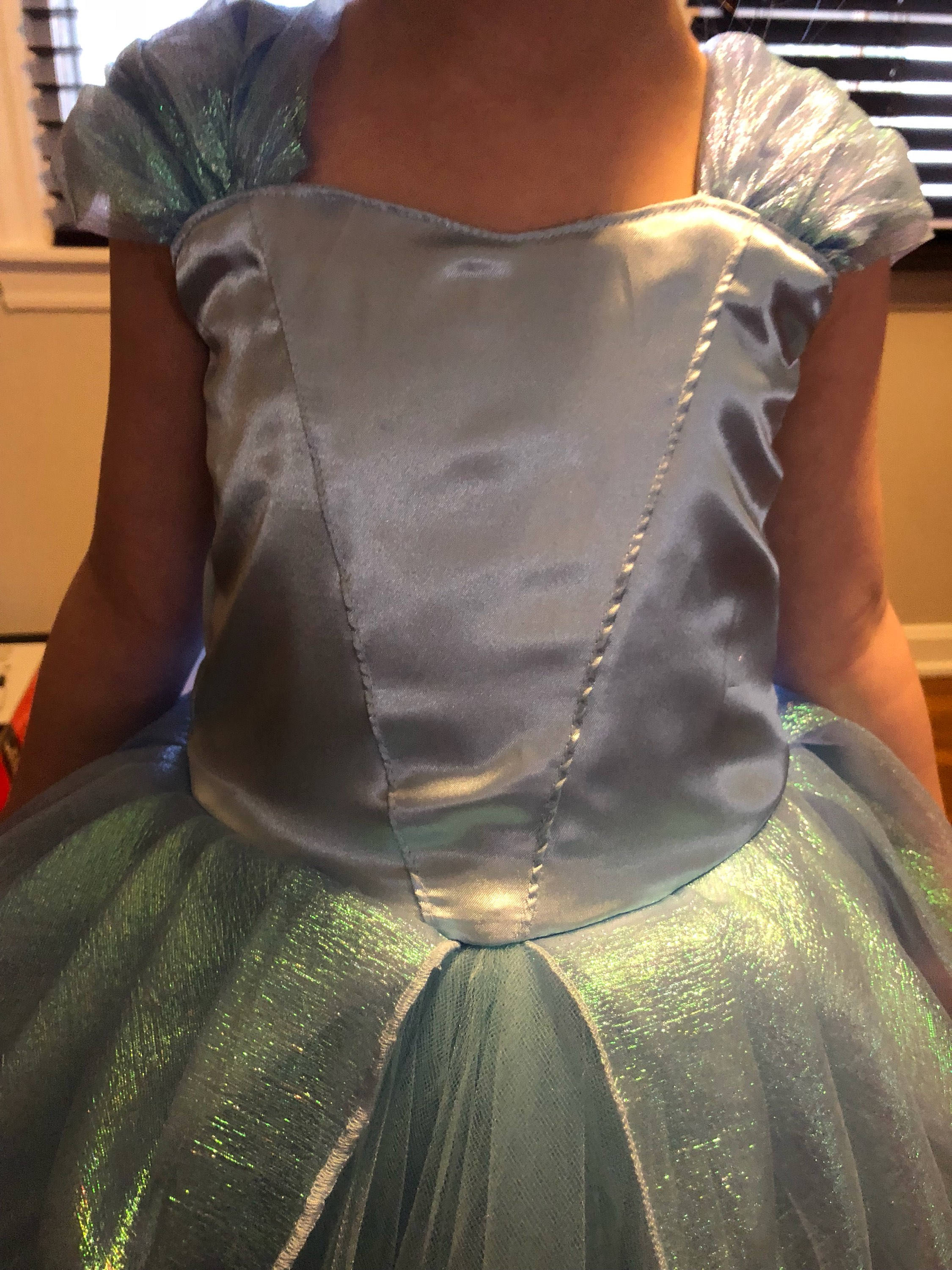 Custom Cinderella Costume, Dress, Gown for Girls, Toddler, Infant, or ...