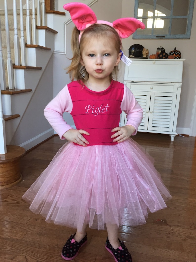 Rabbit Winnie the Pooh Costume, Dance Recital, or Birthday Dress Tutu ...
