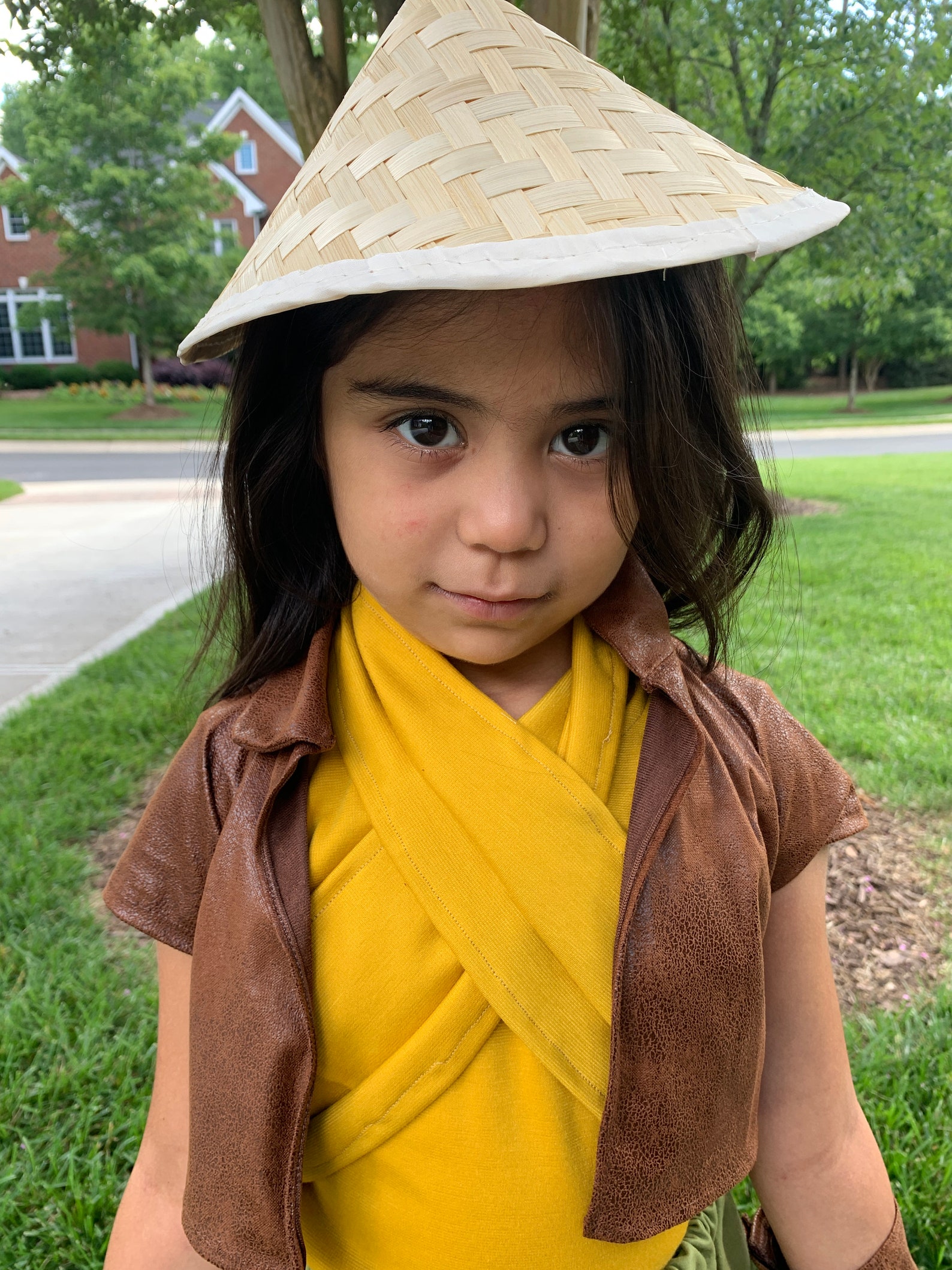 Raya and the Last Dragon Halloween Costume Cape Hat Shirt - Etsy