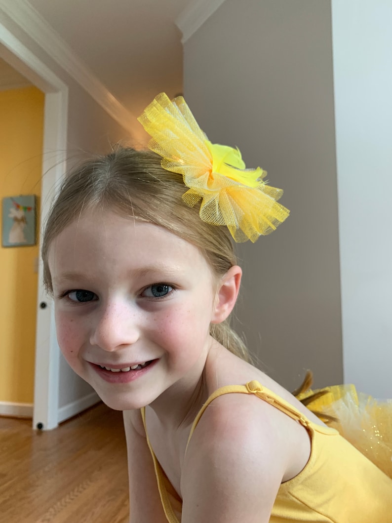 Bird Feather Costume for Halloween Big Bird Tutu Dance Ice | Etsy