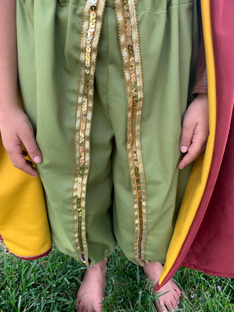 Raya and the Last Dragon Halloween Costume Cape Hat Shirt | Etsy