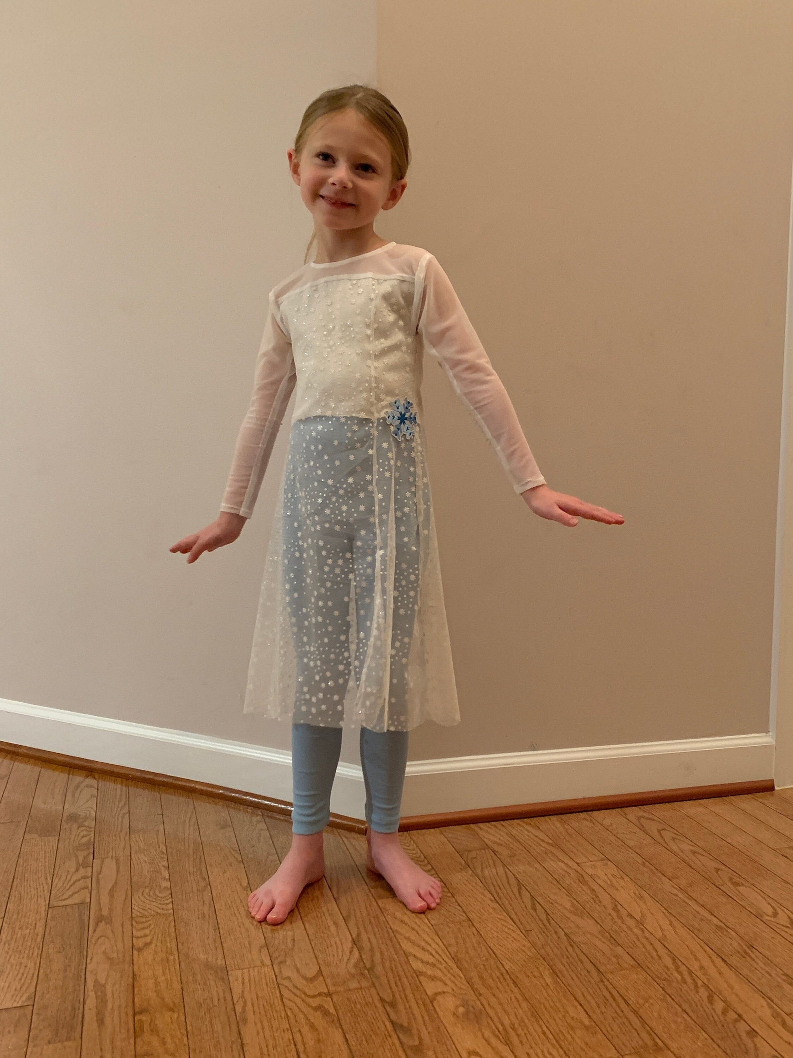 Frozen 2 Elsa White Blue Snow Queen Halloween Costume or Birthday Party ...