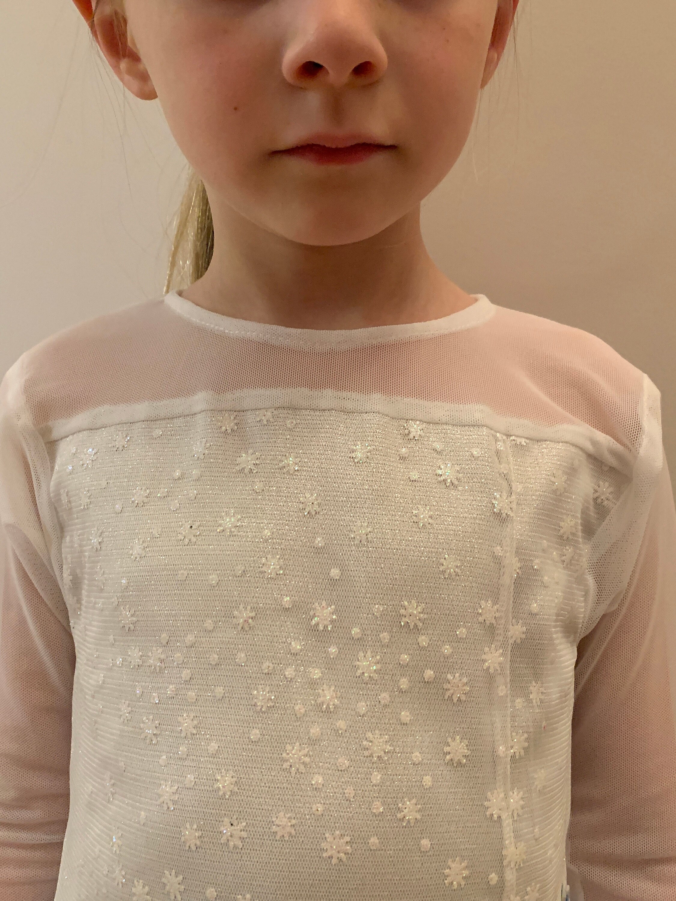 Frozen 2 Elsa White Blue Snow Queen Halloween Costume or Birthday Party ...