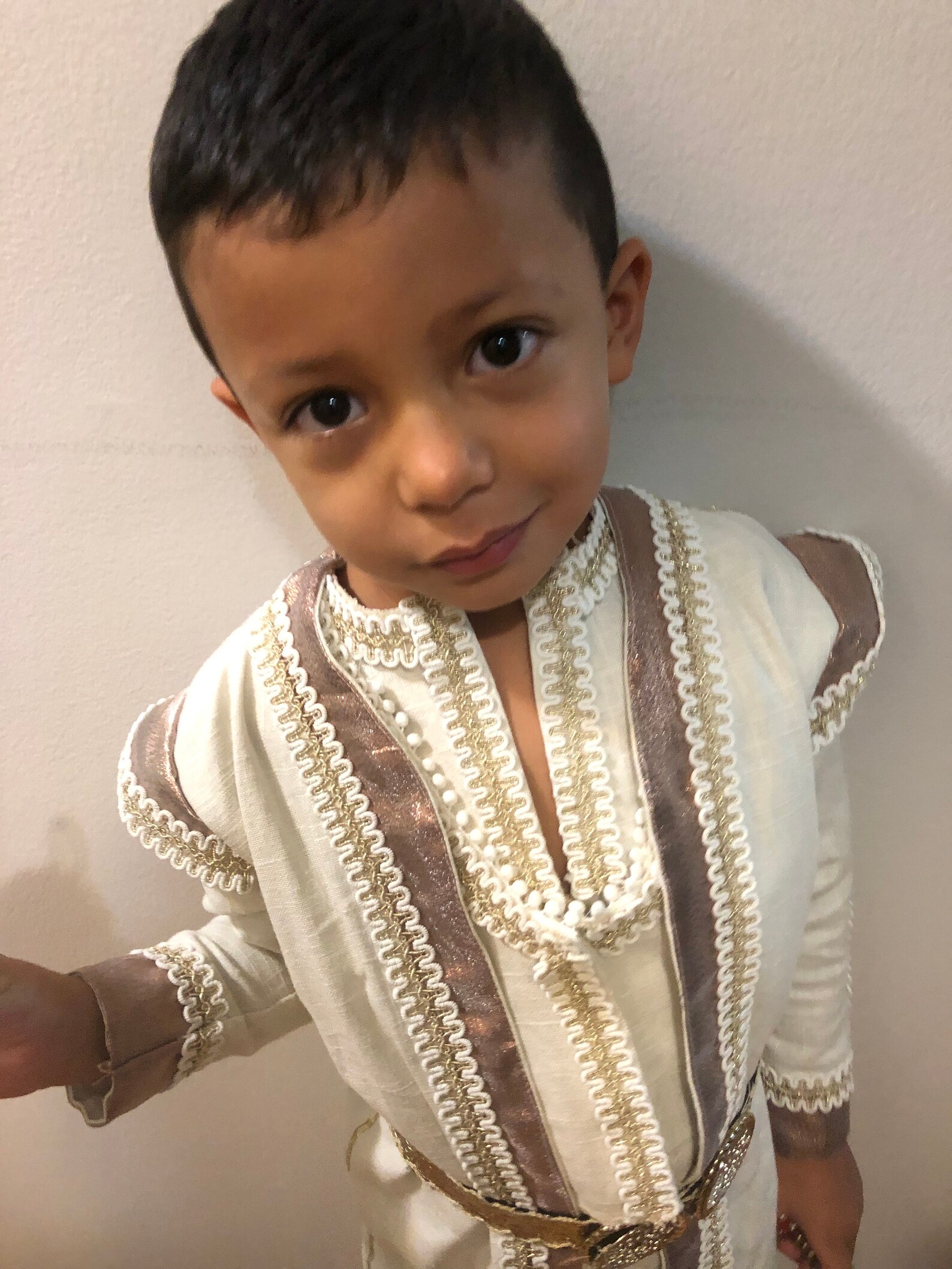 Live Action Prince Ali Aladdin Halloween Costume or Birthday Party ...