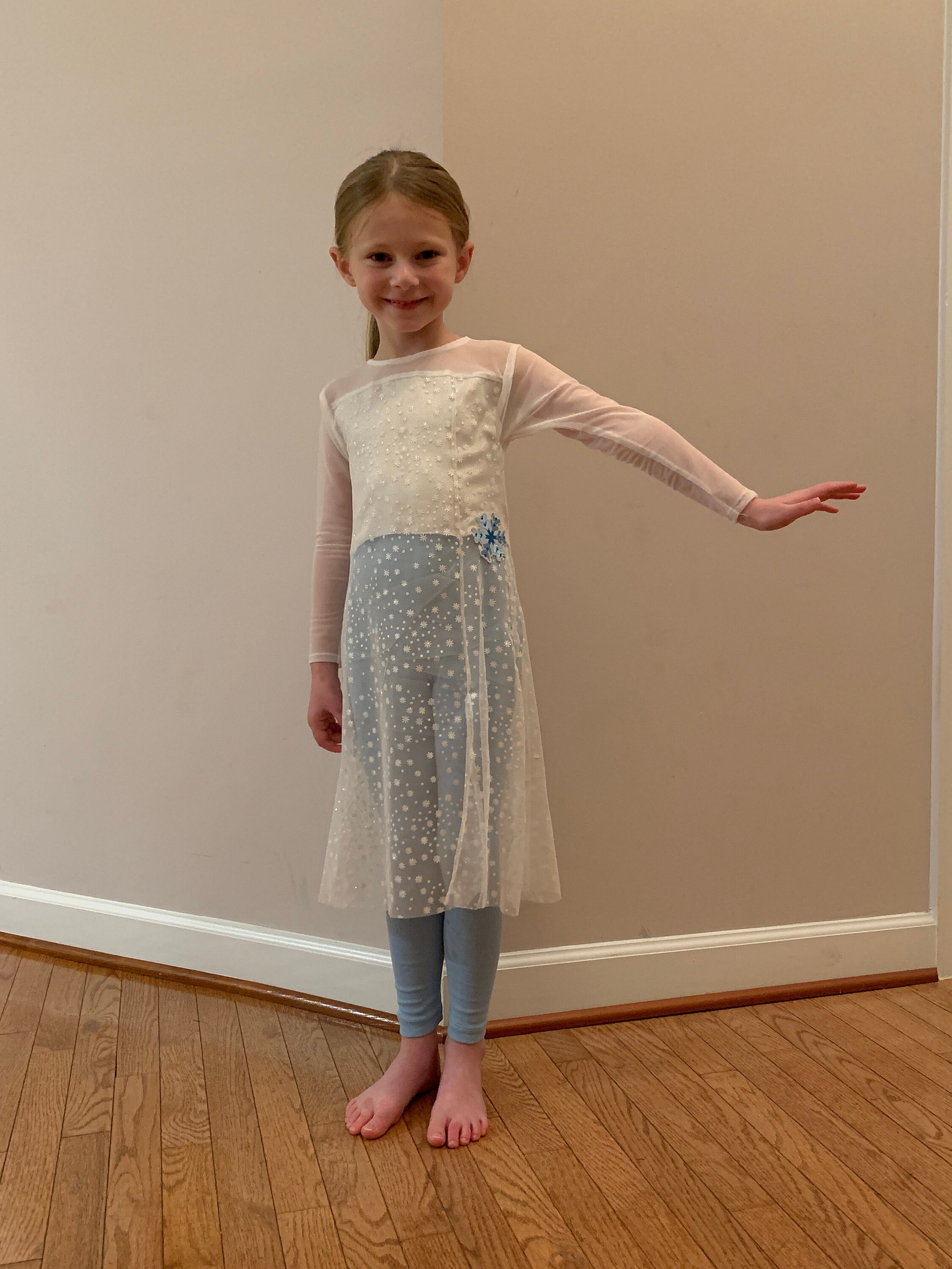 Frozen 2 Elsa White Blue Snow Queen Halloween Costume or Birthday Party ...