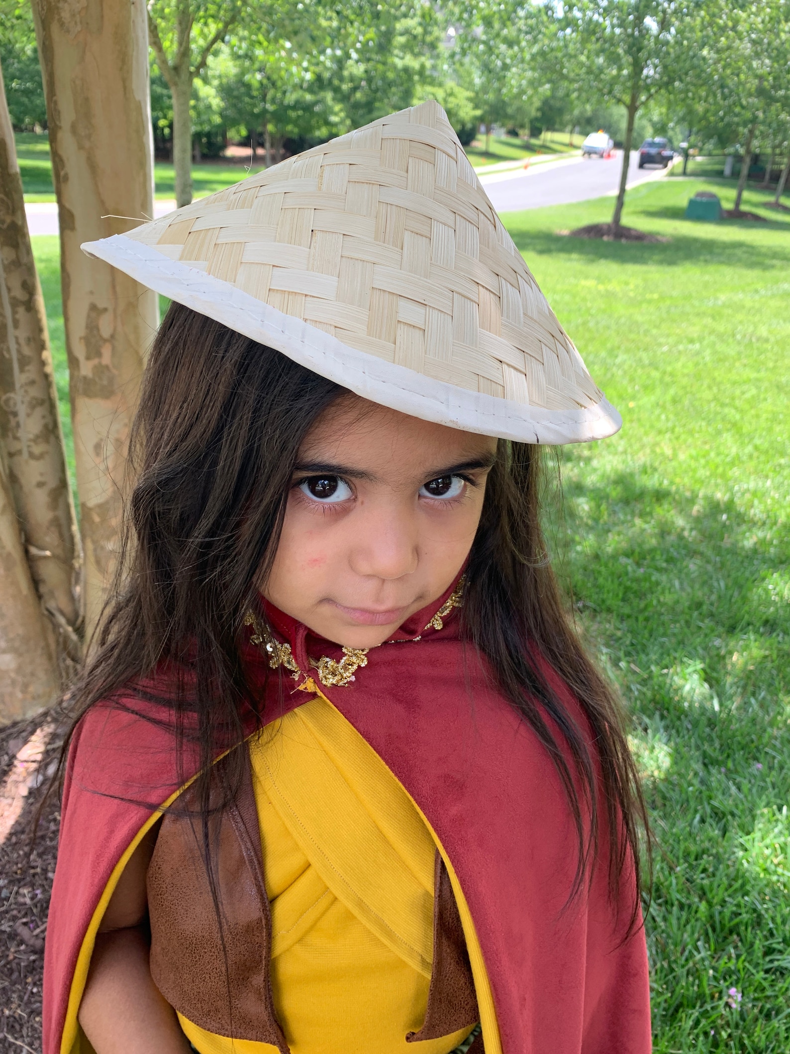 Raya and the Last Dragon Halloween Costume Cape Hat Shirt | Etsy