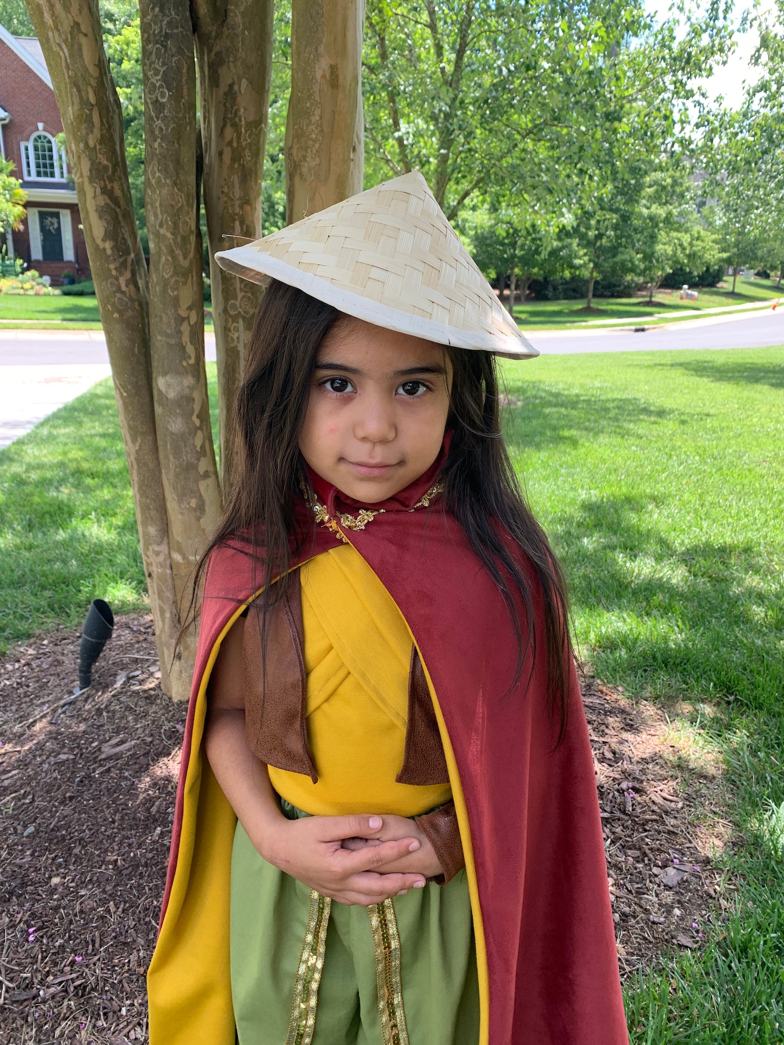 Raya and the Last Dragon Halloween Costume Cape Hat Shirt | Etsy