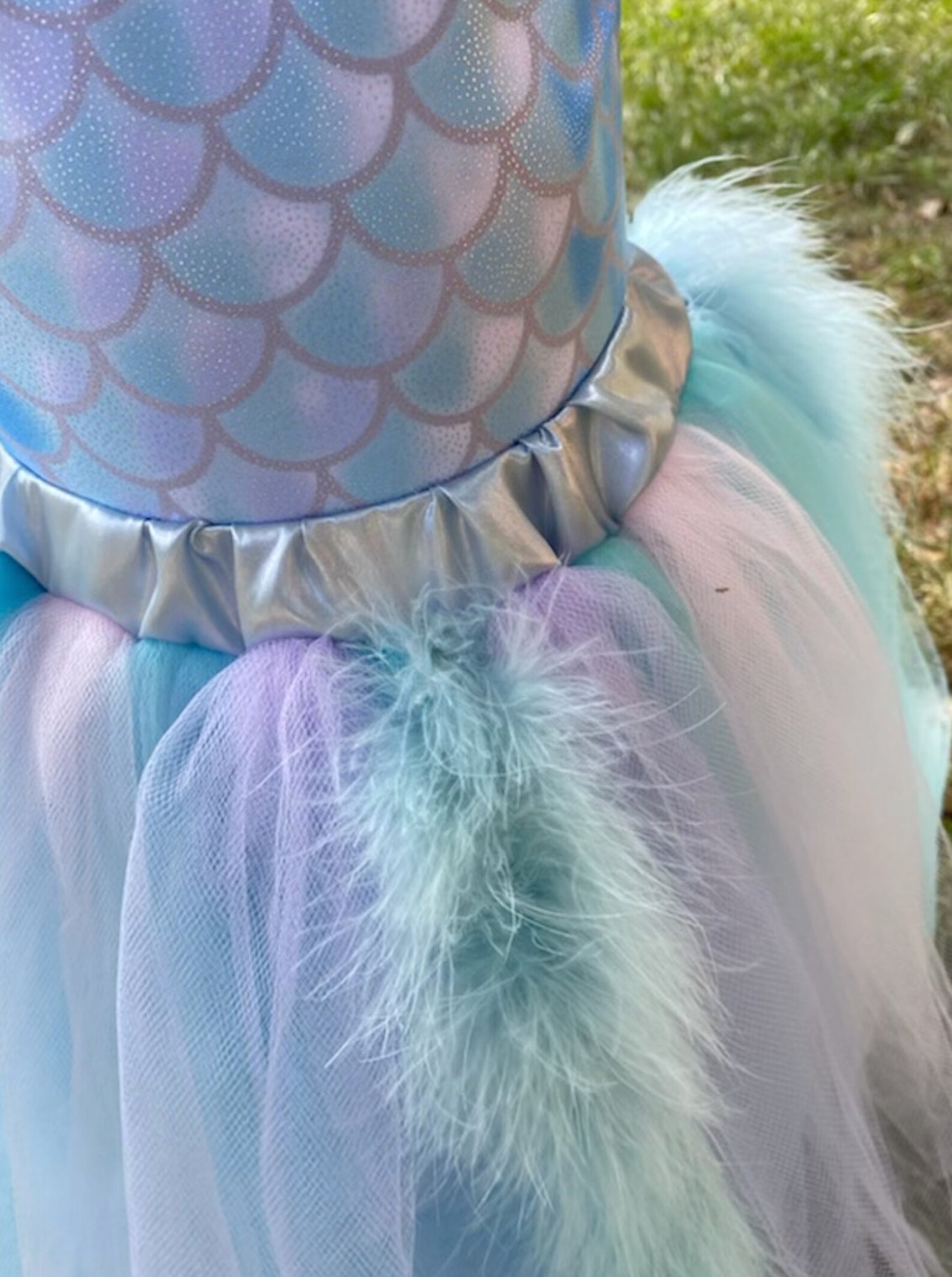 Sisu Raya and the Last Dragon Halloween Birthday Party Dance Ballet ...