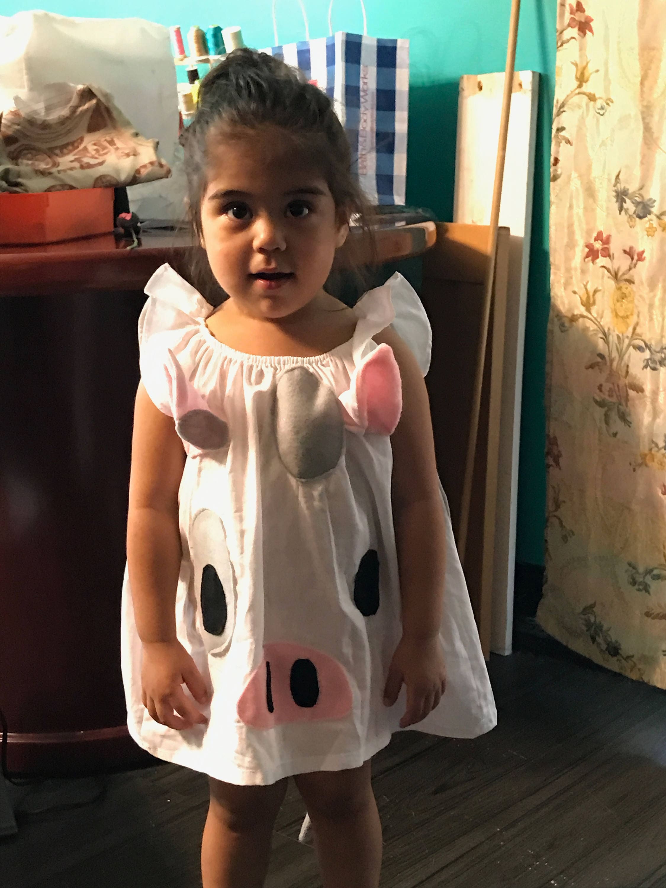 Moana Pua Pig Halloween Costume Romper for Infants Toddlers | Etsy