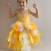Bird Feather Costume for Halloween Big Bird Tutu Dance Ice - Etsy