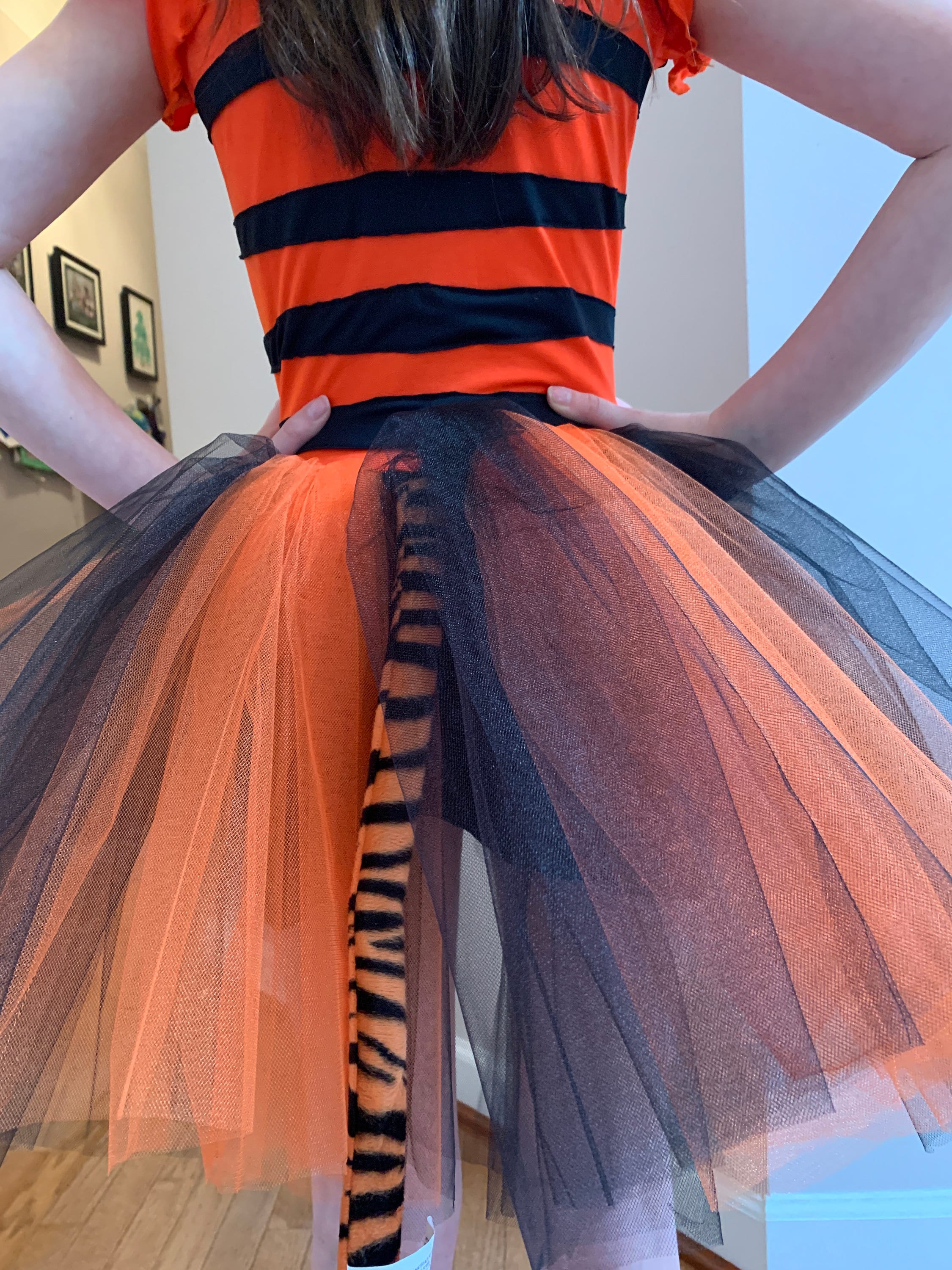 Tigger Winnie the Pooh Costume, Dance Recital, or Birthday Dress Tutu ...