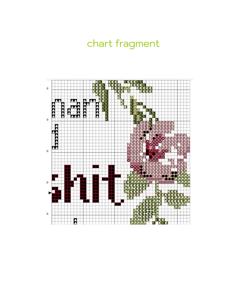 Sassy Cross Stitch Pattern PDF Instant Download Floral Quote - Etsy