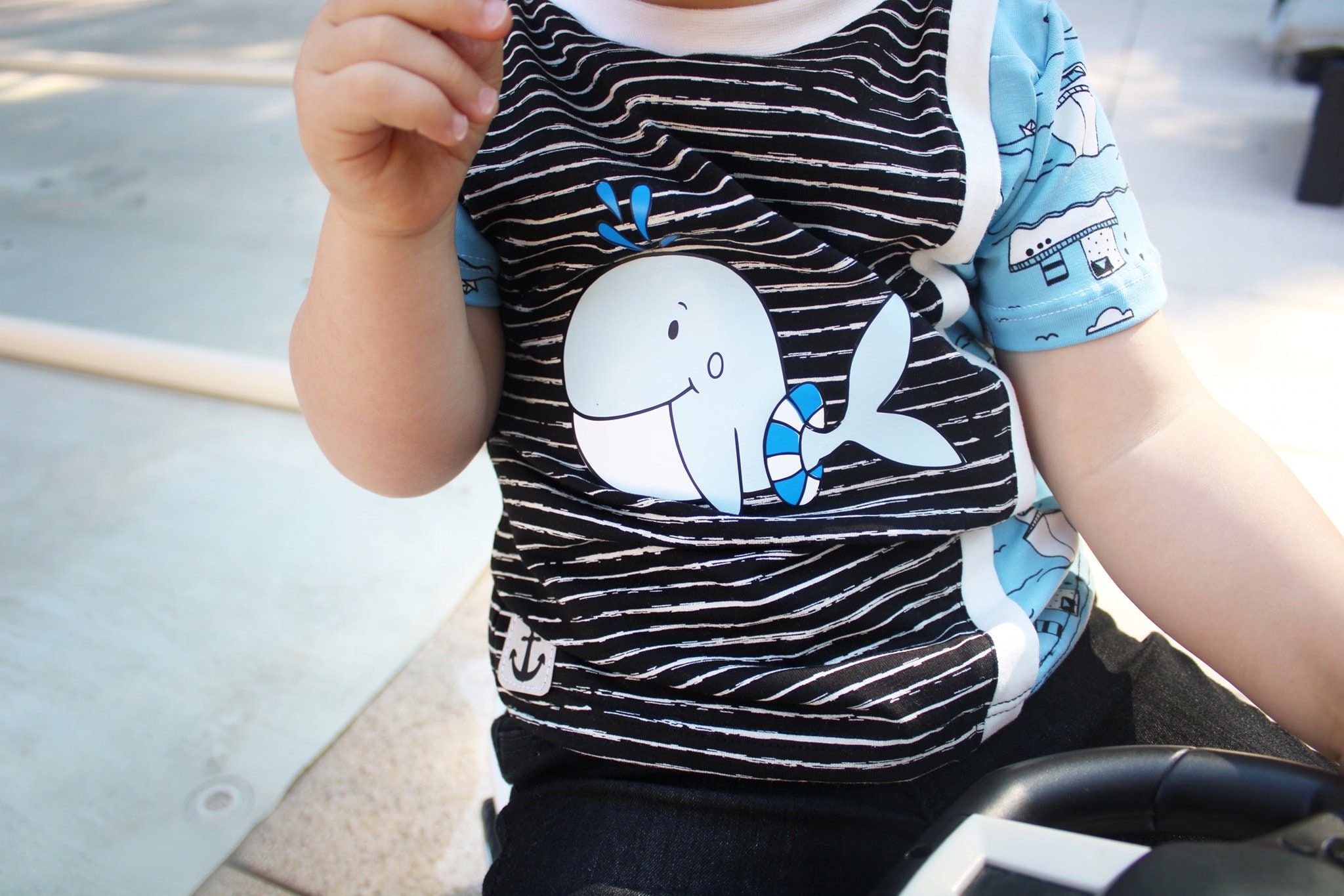 Plotterdatei Wal Willie PDF SVG DXF - Etsy.de