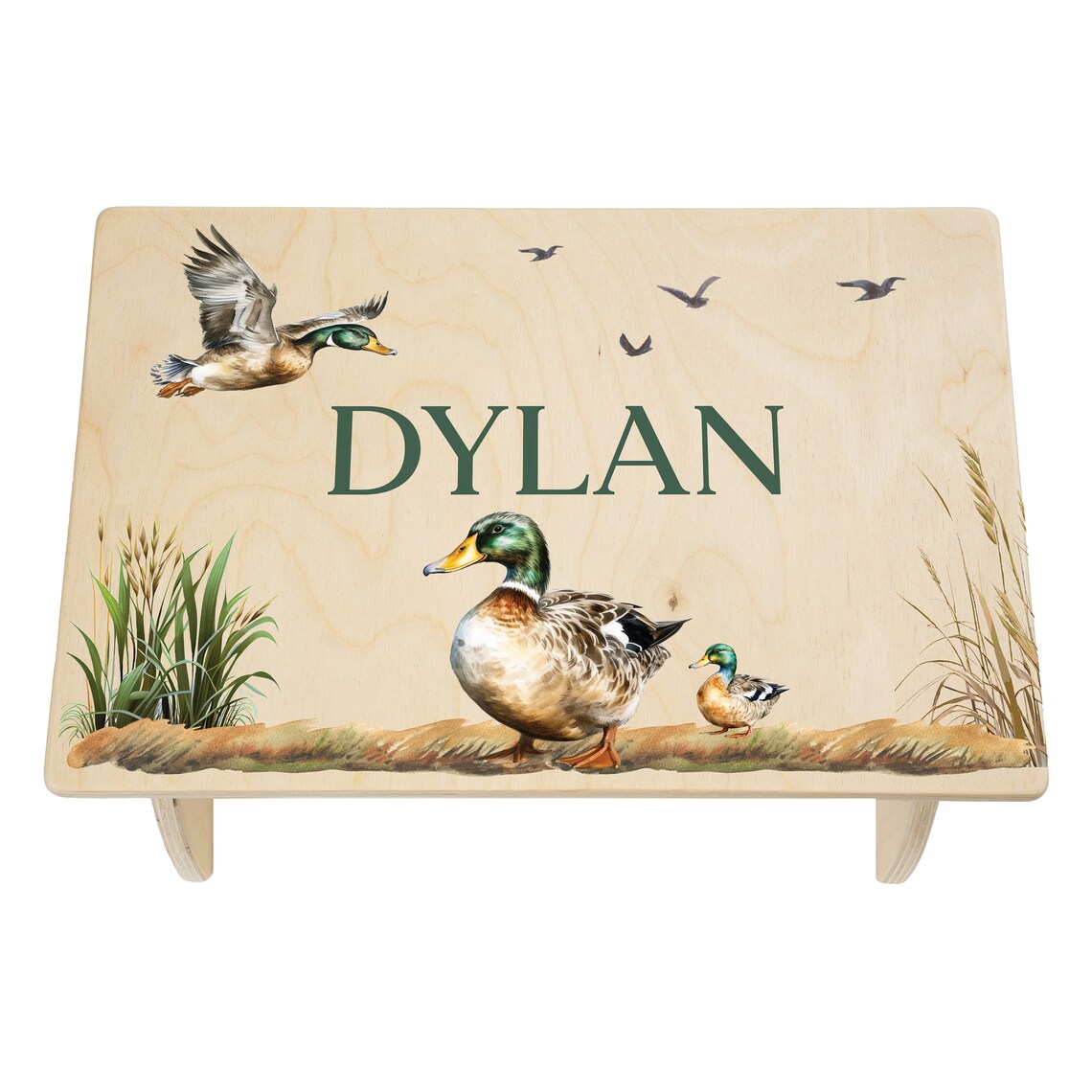 Toddler Step Stool, Mallard Duck Stool for Kids, Personalized Childrens ...