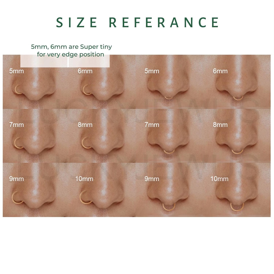 Gold Nose Ring, Sterling Silver Nose Hoop, Rose Gold Nose Ring, 22g 20 ...