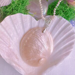 Aphrodite's Pearlamon Seashell Necklace . Pearlized Abalone Shell ...