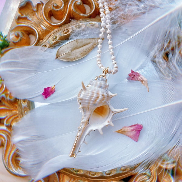 Seashell Jewelry - Etsy