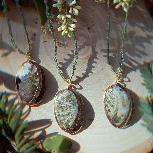 Shell Necklace - Etsy