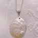 Aphrodite's Pearlamon Seashell Necklace . Pearlized Abalone Shell ...