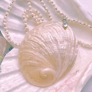 Aphrodite's Pearlamon Seashell Necklace . Pearlized Abalone Shell ...