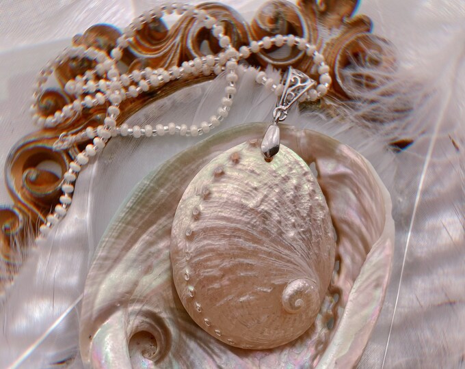 Aphrodite's Pearlamon Seashell Necklace . Pearlized Abalone Shell ...
