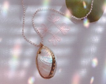 Aphrodite Shell - Etsy