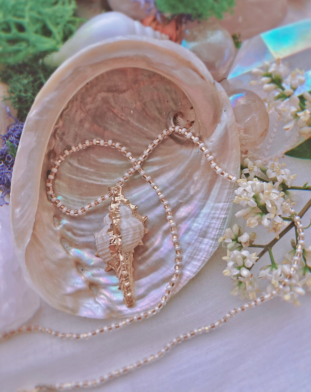 Conch Seashell Necklace . Conch Shell Necklace . Aphrodite Altar ...