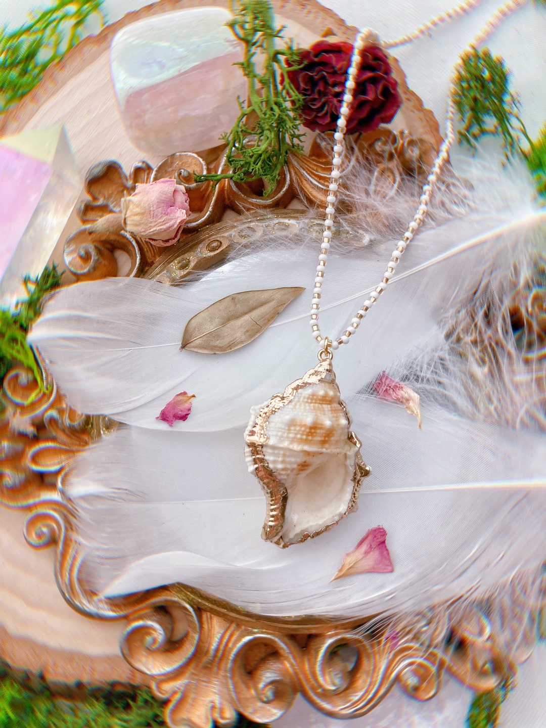 Seashell Necklace . Conch Shell Necklace . Aphrodite Altar Jewelry - Etsy