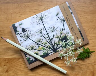 Nature Note Cards - Etsy