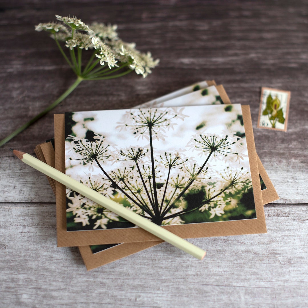 Wildflower Note Cards, Blank Inside With Nature Poem on Reverse, Eco ...