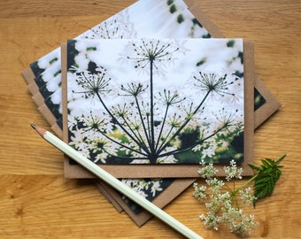 Nature Note Cards - Etsy