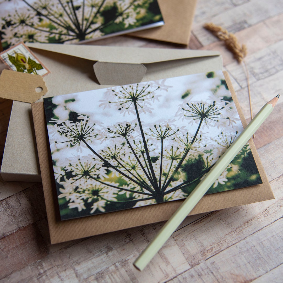 Wildflower Note Cards Boxed Set, Eco Friendly Gift Idea for Nature ...