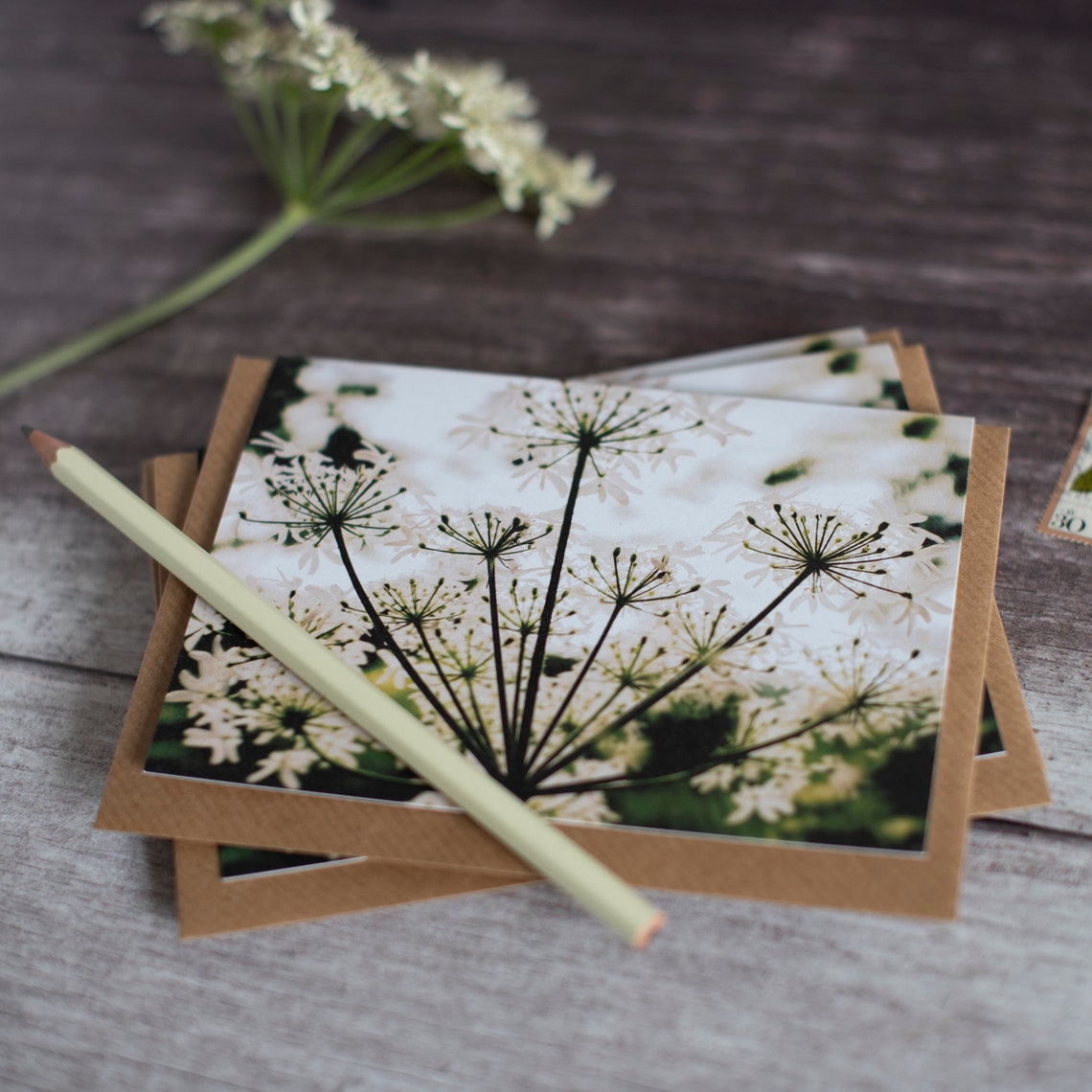 Wildflower Note Cards, Blank Inside With Nature Poem on Reverse, Eco ...