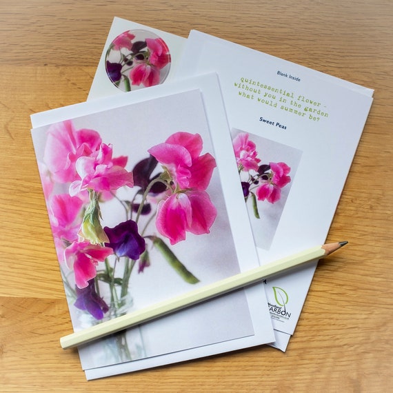 Sweet Pea Greeting Card Blank Inside Eco Friendly Card With - Etsy