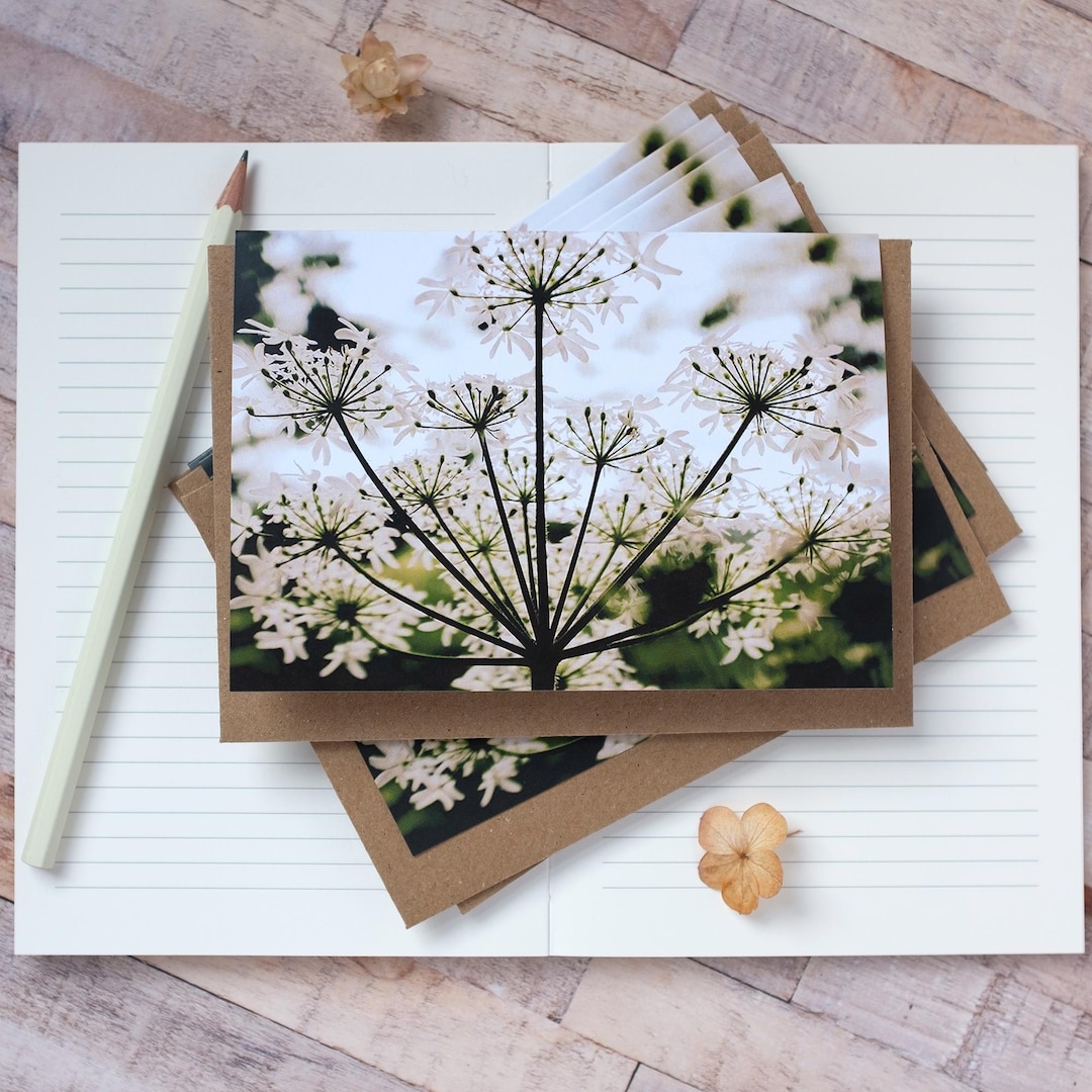 Wildflower Note Cards, Blank Inside With Nature Poem on Reverse, Eco ...